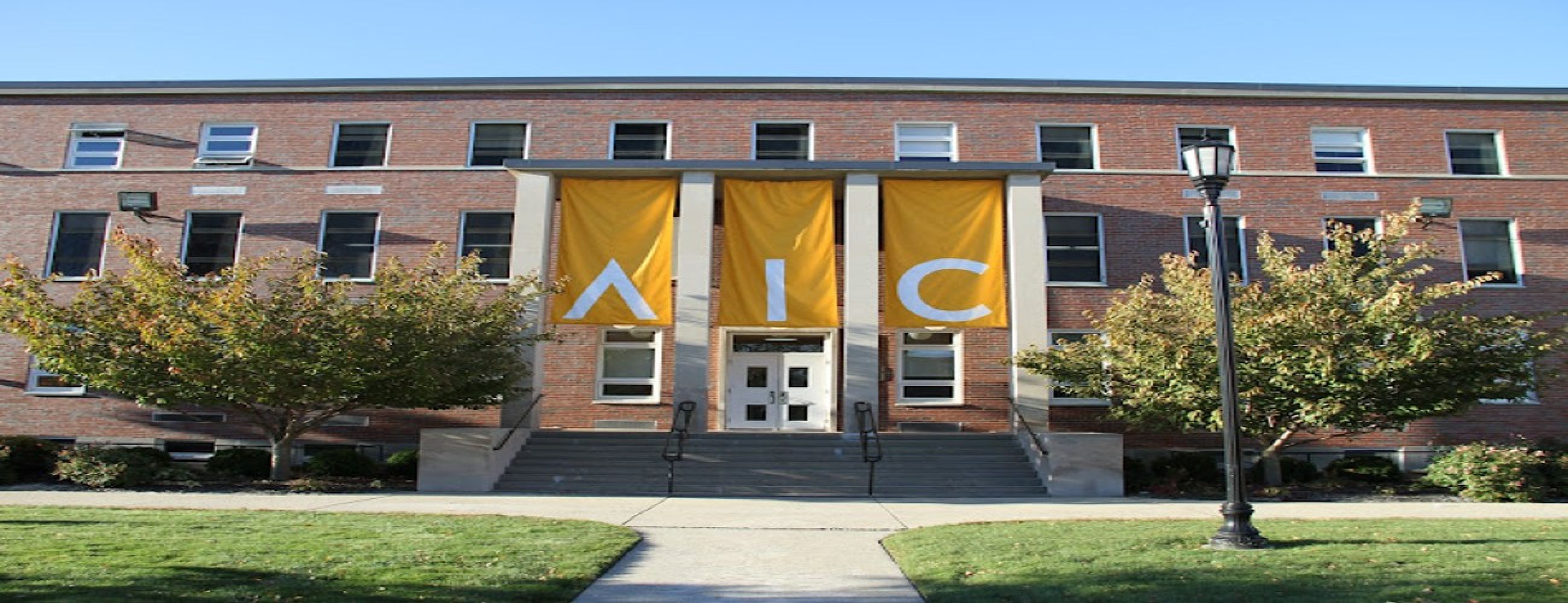 American International College